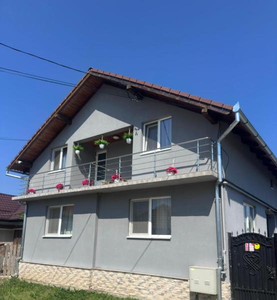 Cta House - Cârțișoara