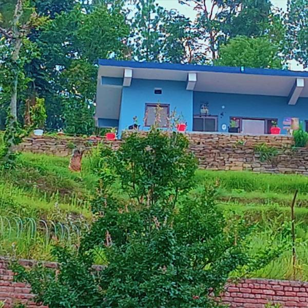 Ekant Stays - Binsar