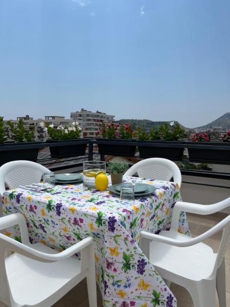 Noel's House - Shkodër