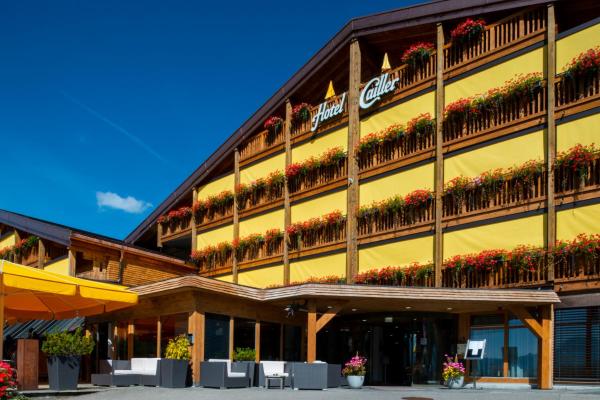 Hôtel Cailler & Bains De La Gruyère - Charmey