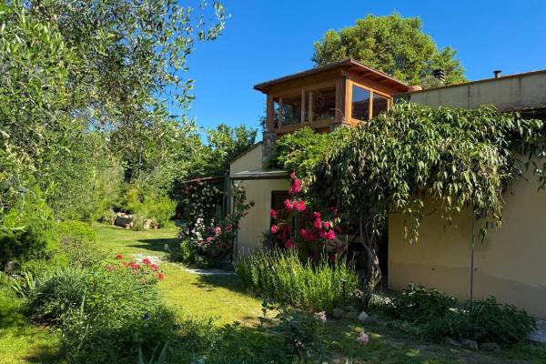 Au-ra Vegan B&b - Castagneto Carducci