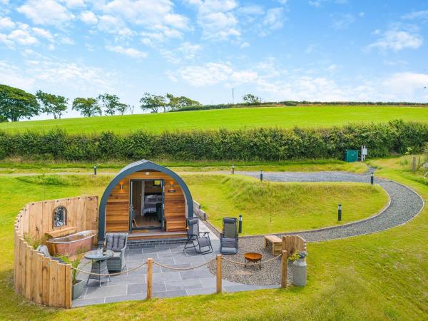 Leri - Uk46065 - Borth