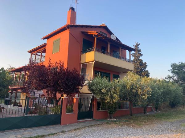 Hawaii - Kuzey Makedonya