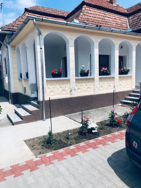 Casa Petrutiu1 - Romania