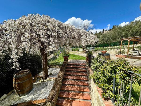 Agriturismo Tassinaia - Florence
