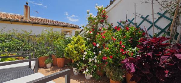 Apartamentos Los Descalzos ÁNgel With Private Terrace Free Parking - Ronda