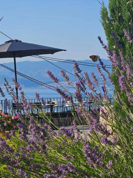 Premium Room With Sea View Balcony - Krk
