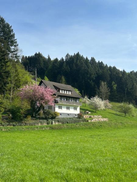 Ferienwohnung Hesselbach - Gengenbach