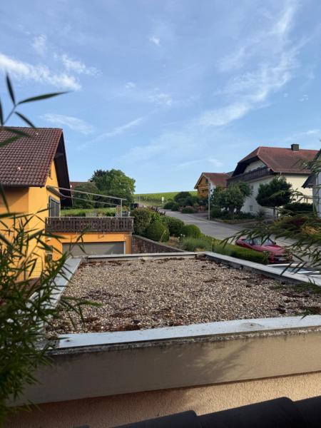 Ferienwohnung Rebenruhe - Gensingen