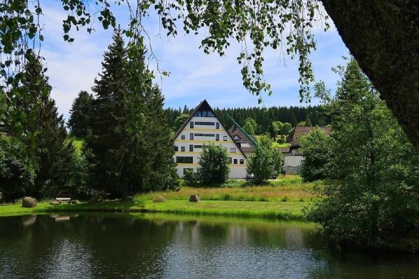Ferienwohnung - Black Forest