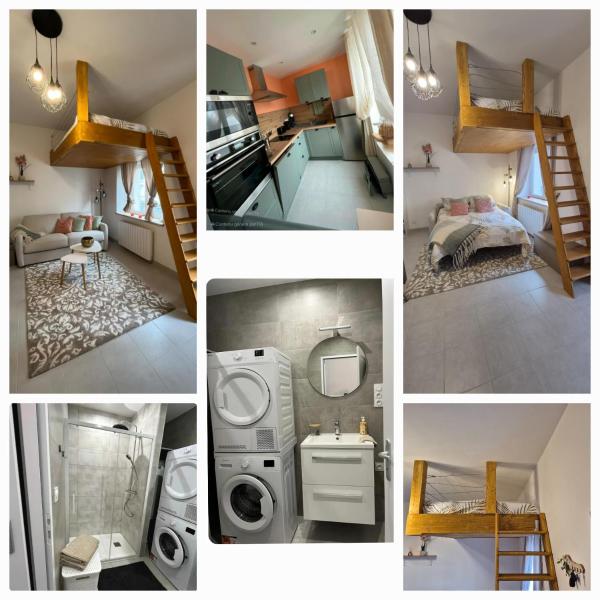 Le Petit Cosy Sunshine - Romorantin-Lanthenay