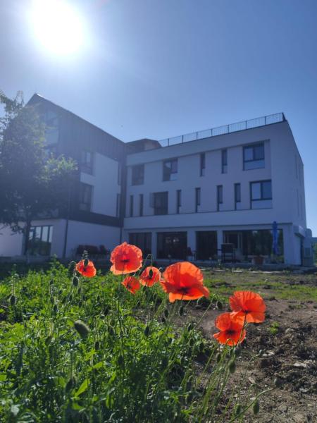 Indra Wellness Retreats And Spa - Buftea