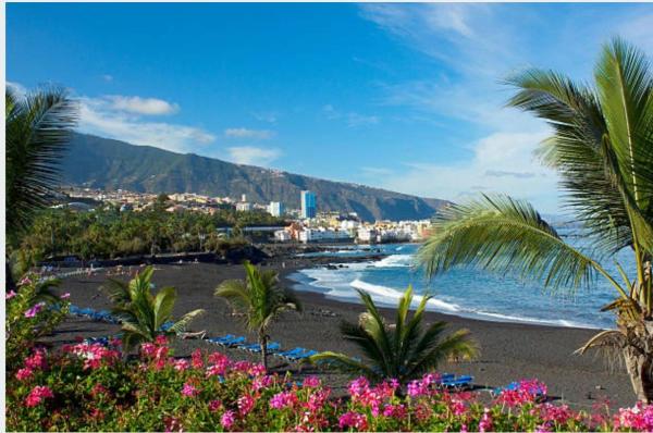 Casa Suami - Puerto de la Cruz