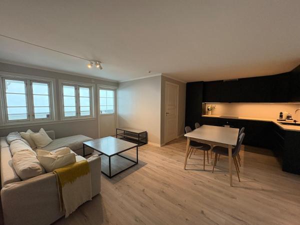 Large Downtown Apartment - Kristiansand