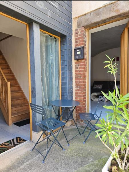 Le Héron Bleu - Proche Passerelle Et Cathédrale - Albi