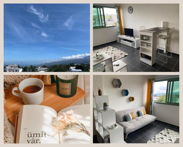 Les Terrasses D'anissy - Studio Cosy - La Réunion