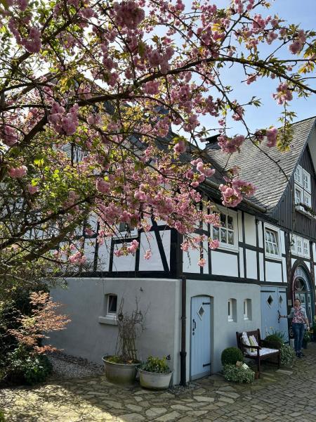 Fachwerkliebe Ornes 1 - Olsberg