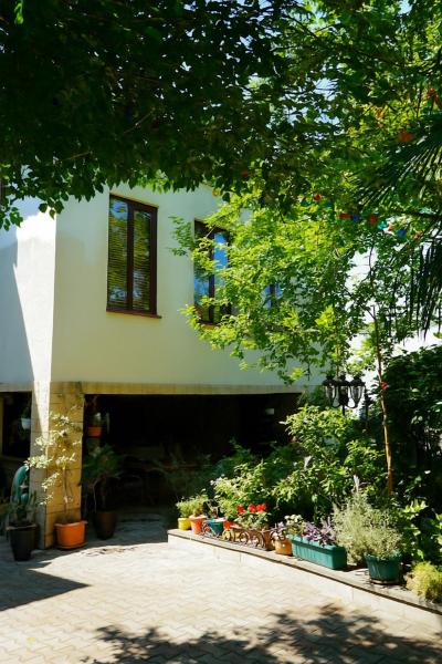 Sofia - 쿠타이시