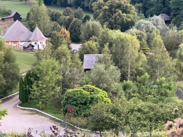 Domeniul Trei Stejari - Bazna