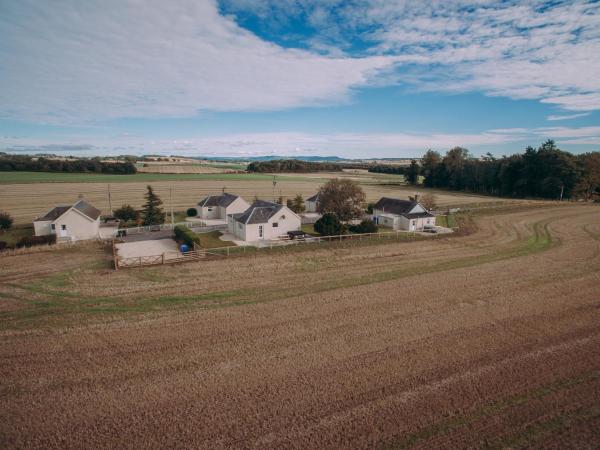 Cairnies - Uk47886 - Auchterarder