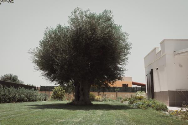 Masseria Gravame - Case Vacanza - Taranto