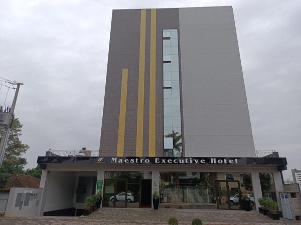 Hotel Maestro Executive Pato Branco - Pato Branco