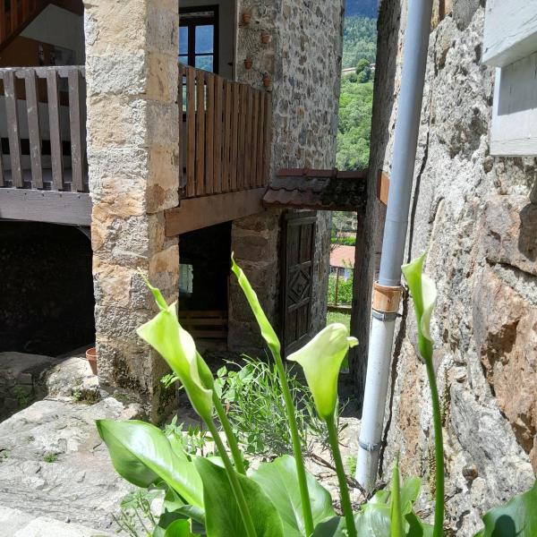 Gite Asina Chez Gite Que Canta - Saint-Bonnet-le-Froid