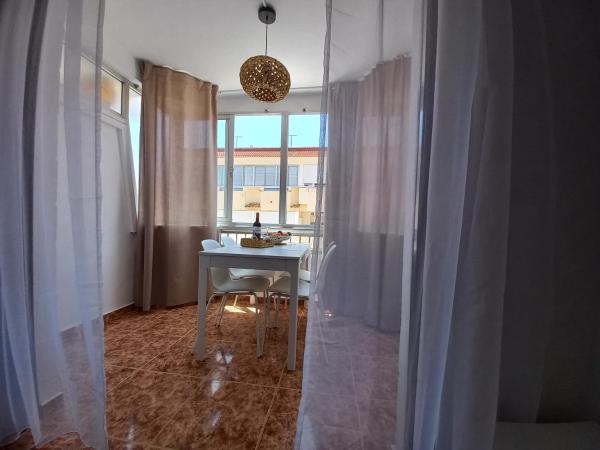 Mil Palmeras Blanca - Pilar de la Horadada