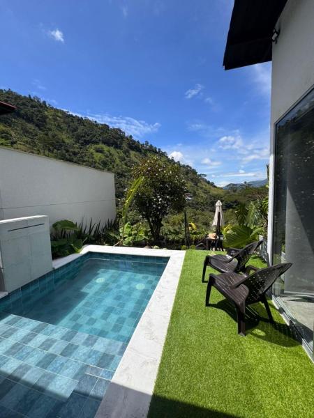 Animadbali - Ibagué