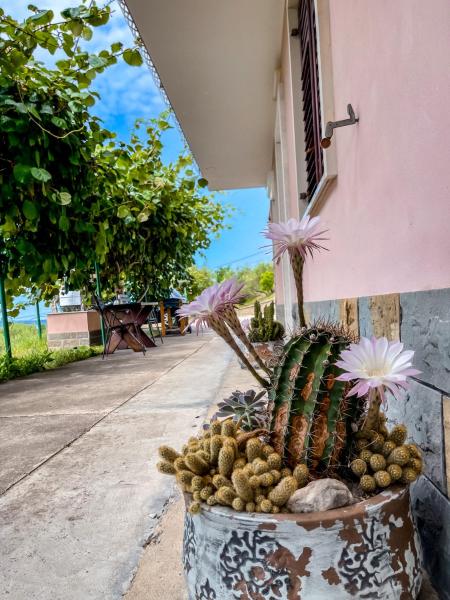 4 Roses Residence - Piran