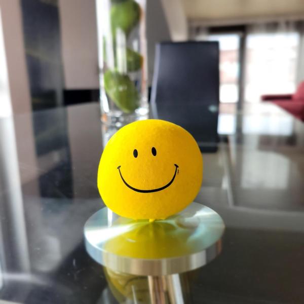 Helle Gemütliche Dg Wohnung, 88qm, Klimatisiert - Reilingen