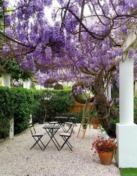 Chez Louis - Saint-Aygulf