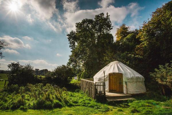 Chestnut - Yurt - Navan