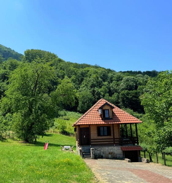 Gučevska Idila - Loznica