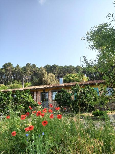 Casa Rural Las Gesillas - Arenas de San Pedro