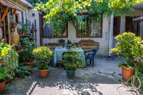 Only Flowers Girls Hostel - Tiflis