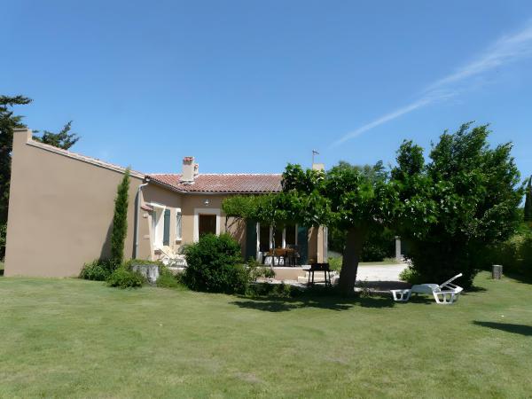 Le Saule - L'Isle-sur-la-Sorgue