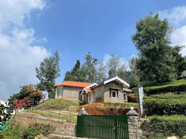 Wisteria - Coonoor