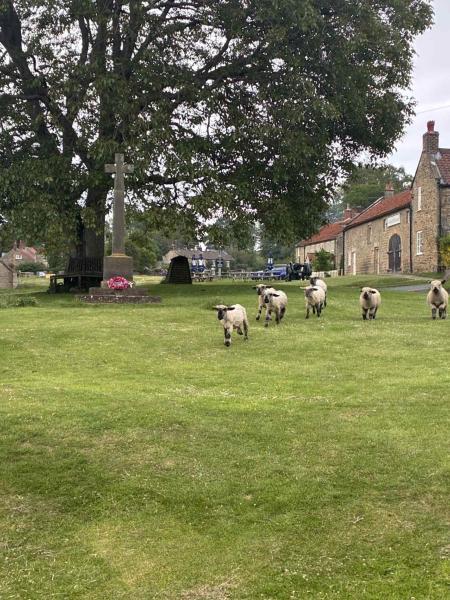 The Barn Guest House And Tearoom - Helmsley