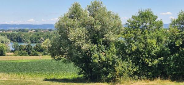Maison Les Berges Du Lac - Département Ain