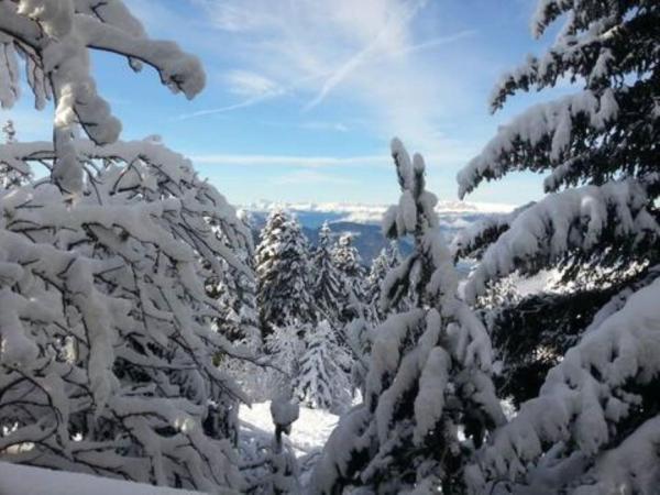 Chalet Des Lupins - Chalet 1p2 - Grenoble