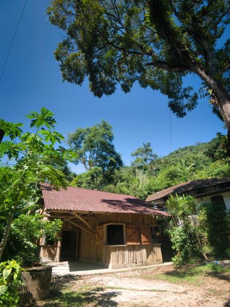 Cedro Do Ronca - Trindade