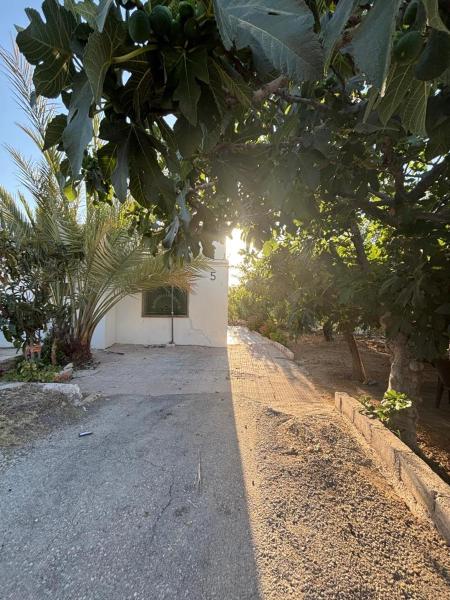 Featured House Furnished Independent For Rent - Jordan