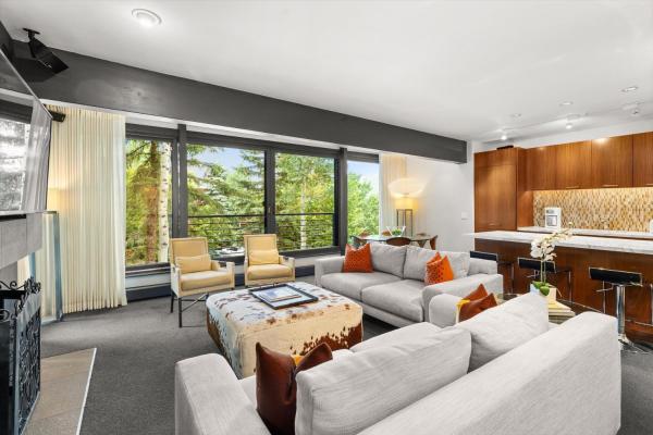Durant Unit C2, Condo With Designer Finishes, Great Views & Location - Aspen, CO