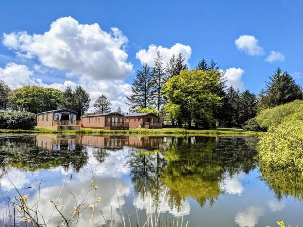 Herons Log Cabin - Wales