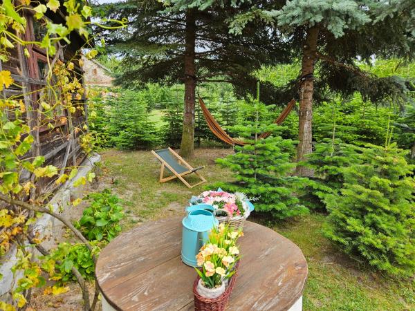 Sielski Dom I Sauna I Jacuzzi Dodatkowo Płatna Opcja - Poland