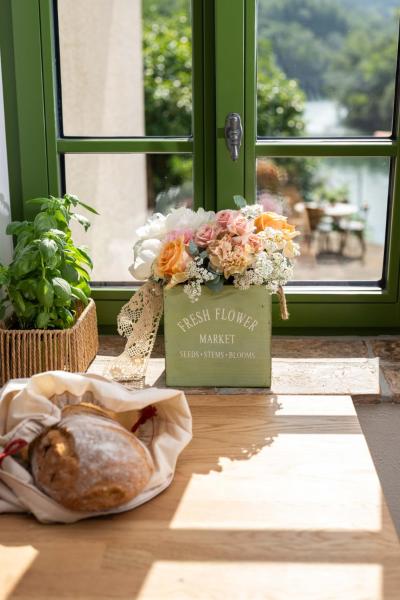 Apartma Frida - Tolmin