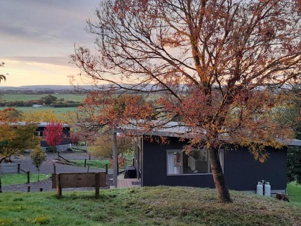 Little Forest Cabins No 3 - Wairarapa