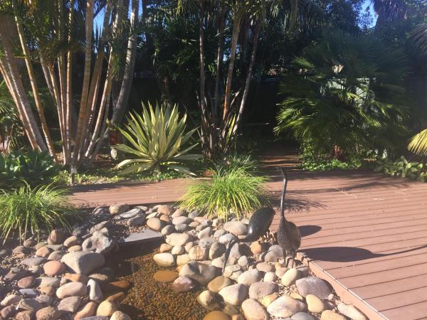 Tranquility Near The Lake - Morisset