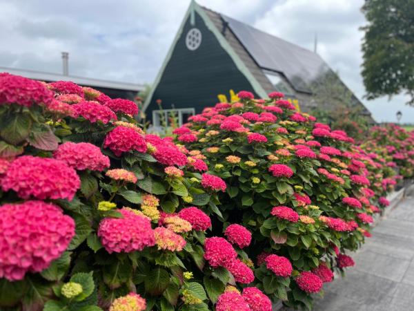 Vakantiehuis Het Uilennest - Hoorn